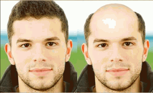 5 Aplikasi Edit Wajah Agar Lucu dan Gokil Untuk Android - - Sinyal Android